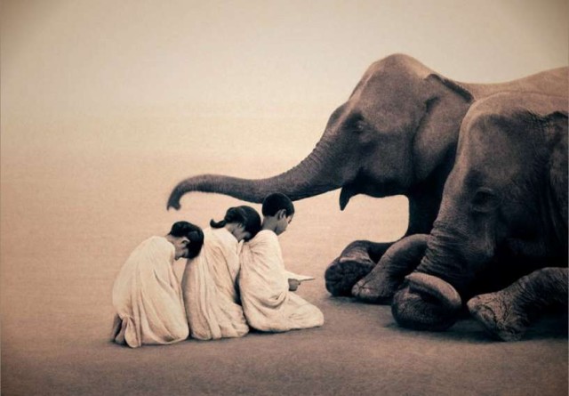 Gregory Colbert Amanece Metrópolis